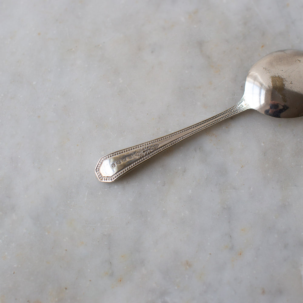 Vintage Small Decorative Spoon Set 2 – Ellei Home